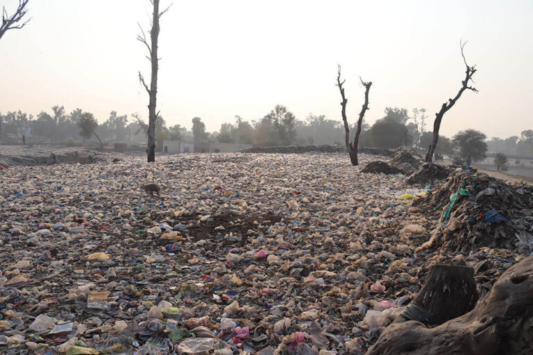 What Is Plastic Pollution? Definition, Causes & Impact (2026)