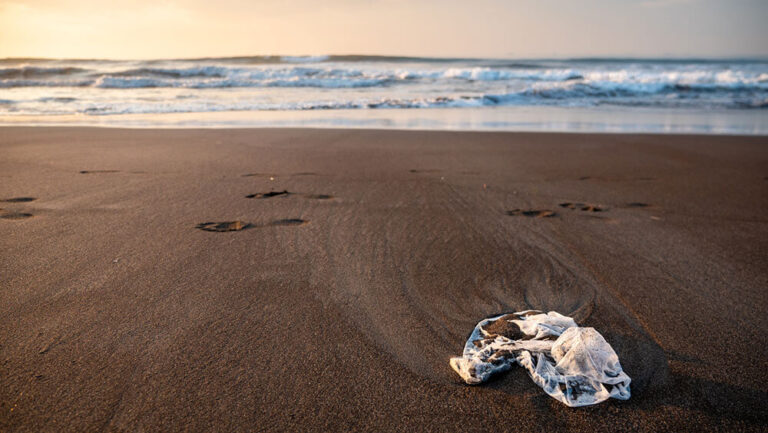 Plastic Pollution: Definition, Impacts, and Solutions